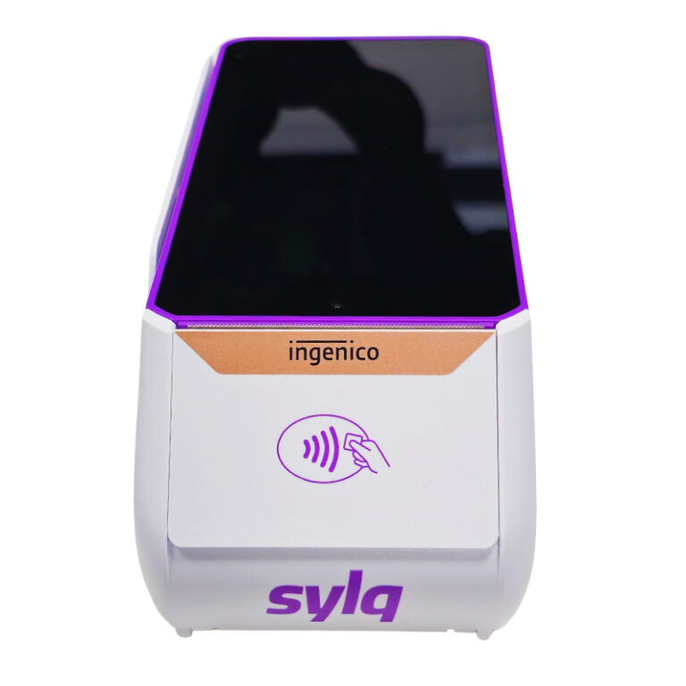 TPE Ingenico Axium DX8000 4G Wifi Caméras | VTPE