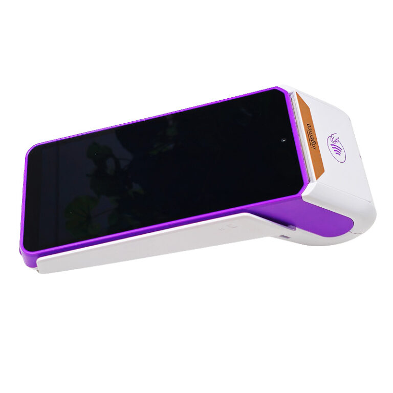 TPE Ingenico Axium DX8000 4G Wifi Caméras | VTPE